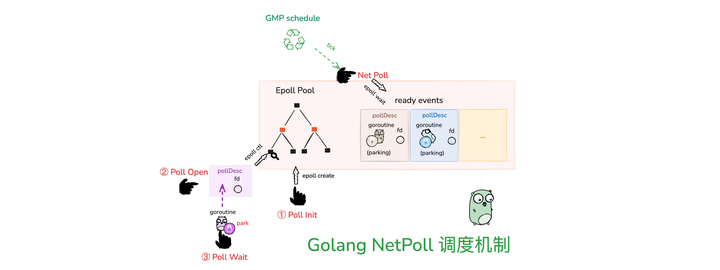 万字解析 golang netpoll 底层原理 - 知乎