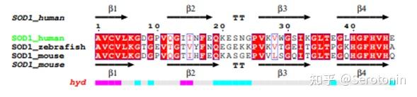 用ESPript 3.0做出好看的多重序列比对图（2） - 知乎
