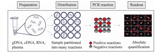 科普讲堂|你想要知道的数字PCR原理、优势及应用前景 - 知乎
