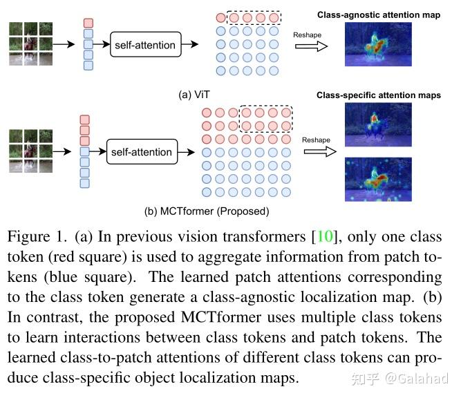 CVPR2022 | MCTformer：谁说Vision Transformer只能有一个class token？ - 知乎