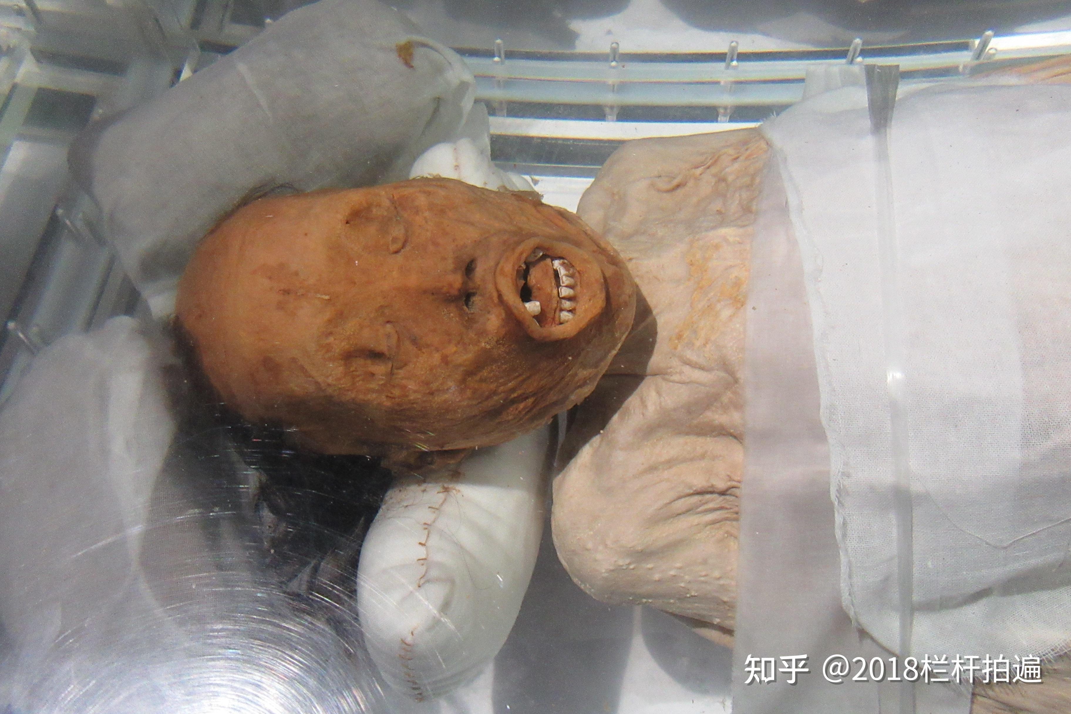 荆州：“荆州博物馆”（6）【荆州鲁家山清代女尸专题展】 - 知乎