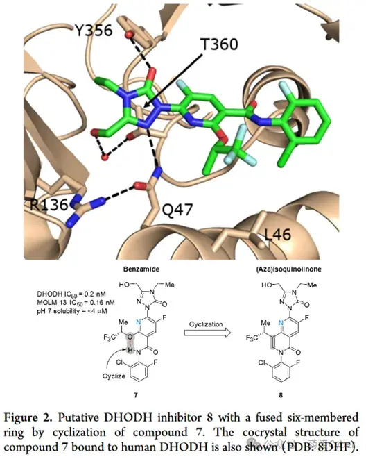 解析强生开发的异喹啉酮类DHODH抑制剂JNJ-74856665的发现和优化 - 知乎