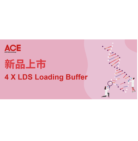 4 X LDS Loading Buffer 产品介绍 - 知乎