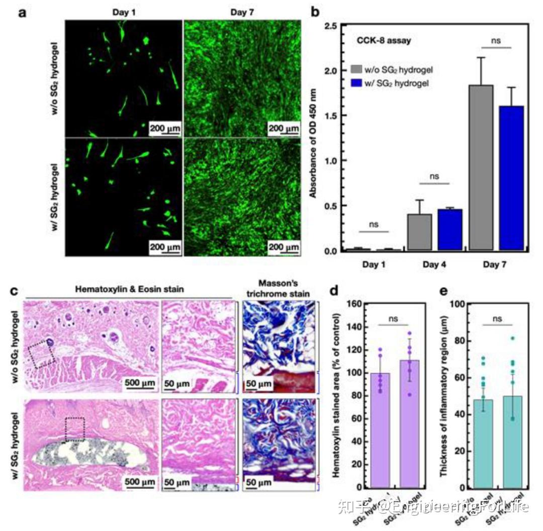 《AM》：用于生物电子学的导电、粘附、不溶胀和粘弹性水凝胶 - 知乎