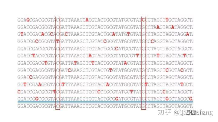 Pacbio测序原理以及SMRT bell文库构建流程简述 - 知乎