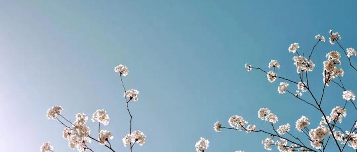 复杂网络精华案例七：复杂网络上的sir传播模型仿真实践 知乎 