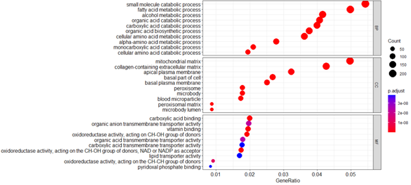 【R语言】解决GO富集分析绘图，标签重叠问题 - 知乎
