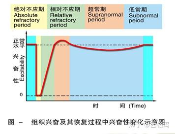 生理学专题（1-细胞的基本功能） - 知乎