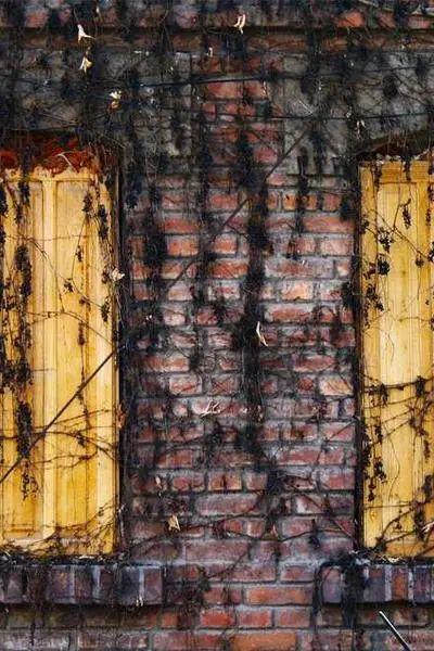 Parse: Python实现JSON-decode解析器 - 知乎