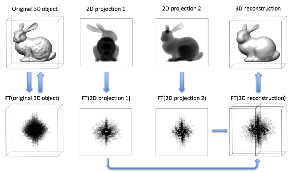 结构生物学的下一个突破：cryo-ET - 知乎