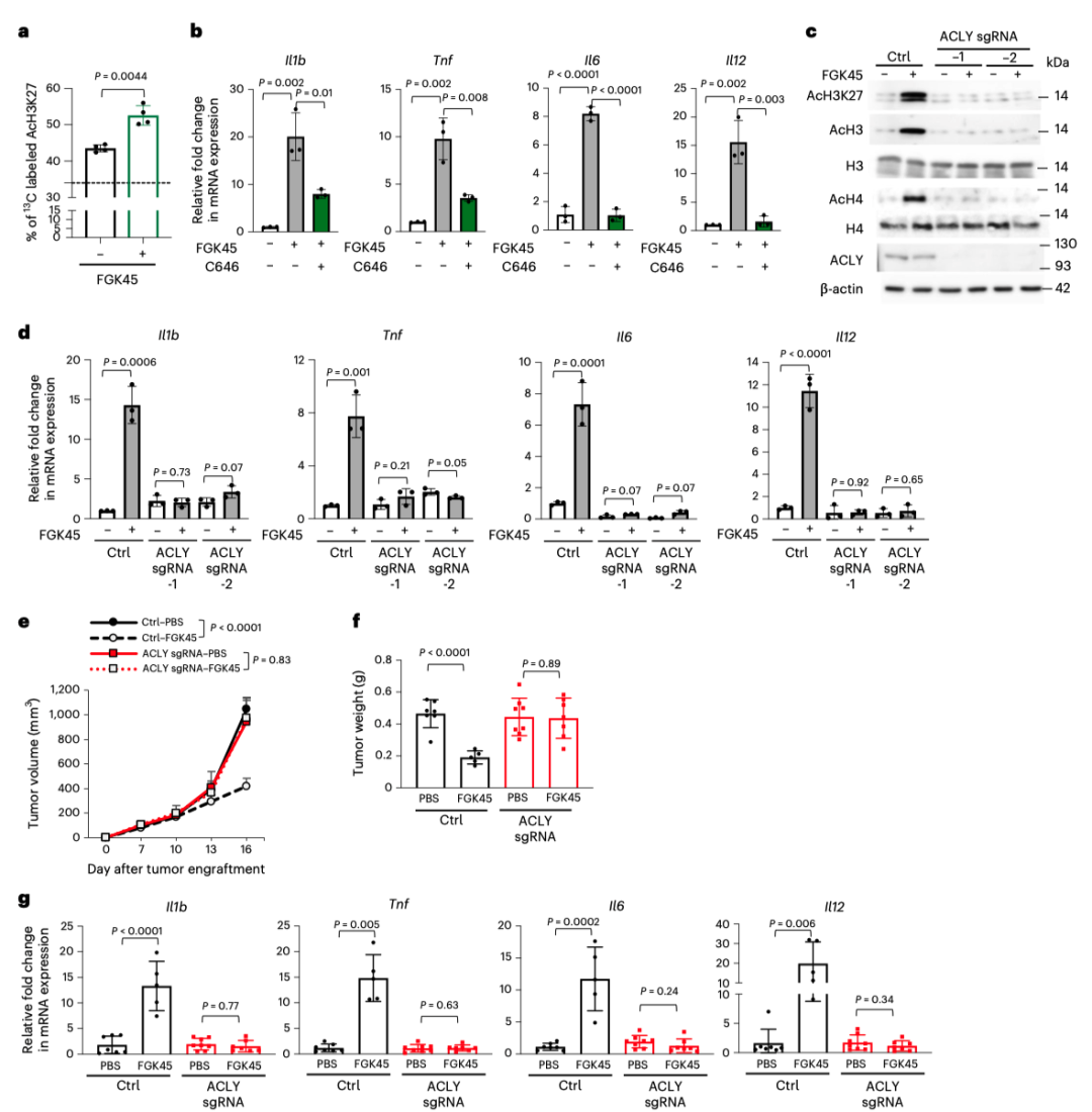 Nature Immunology丨CD40 信号重新连接脂肪酸和谷氨酰胺代谢以刺激巨噬细胞抗肿瘤发生功能 - 知乎
