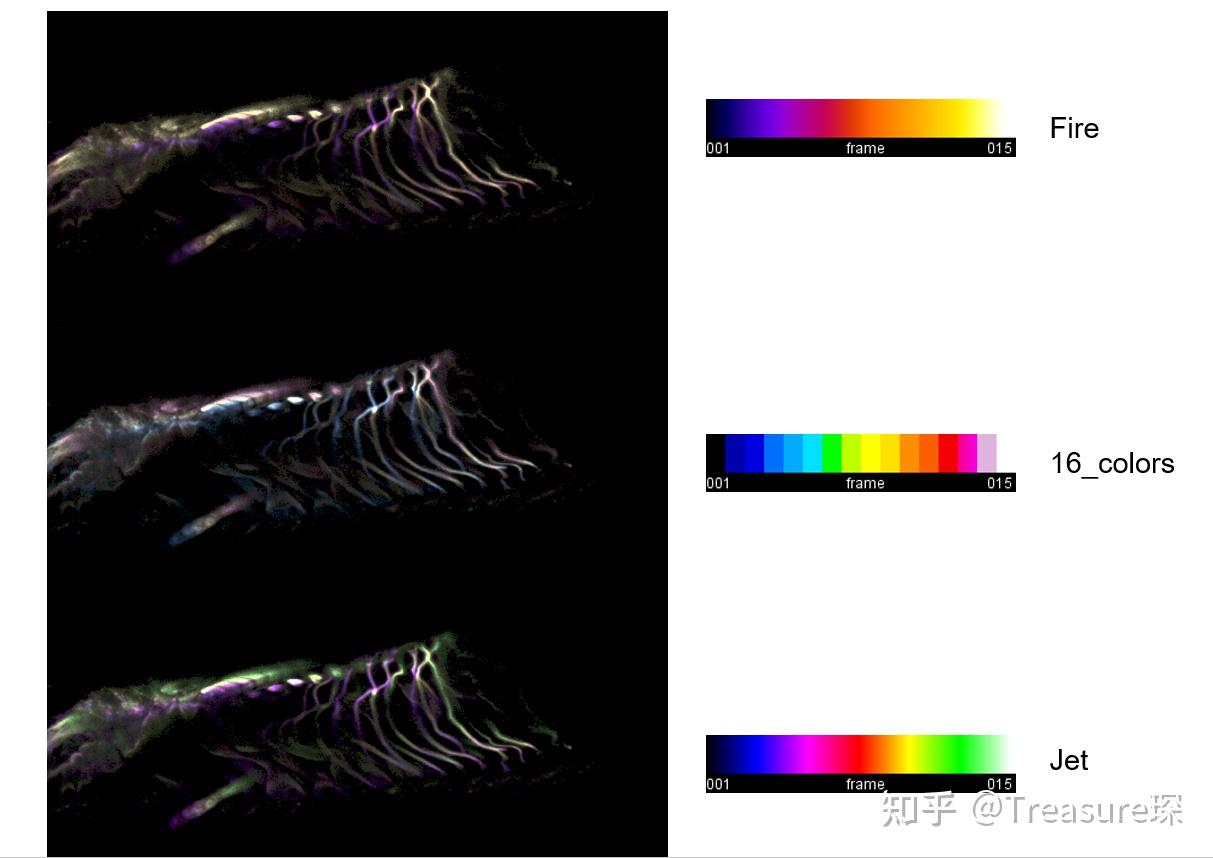 ImageJ实用教程——Depth-Color Code(插件篇) - 知乎