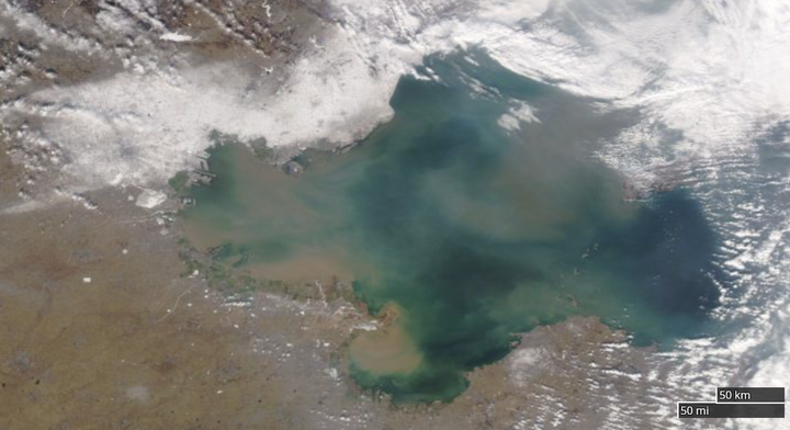 EOSDIS Worldview (nasa.gov) - 知乎