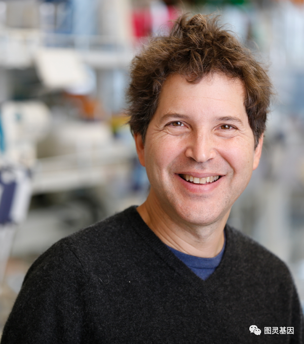 Nature | 让AI发挥“想象力”，从头设计荧光素酶 - 知乎