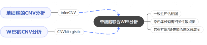 如虎添翼丨新格元scRNA联合WES分析助力肿瘤CNV研究 - 知乎