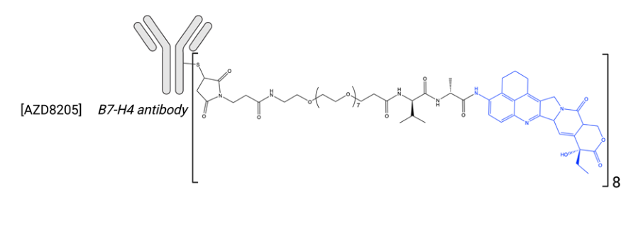 有效载荷（payload）的多样性：ADC药物未来开发的关键一环 - 知乎