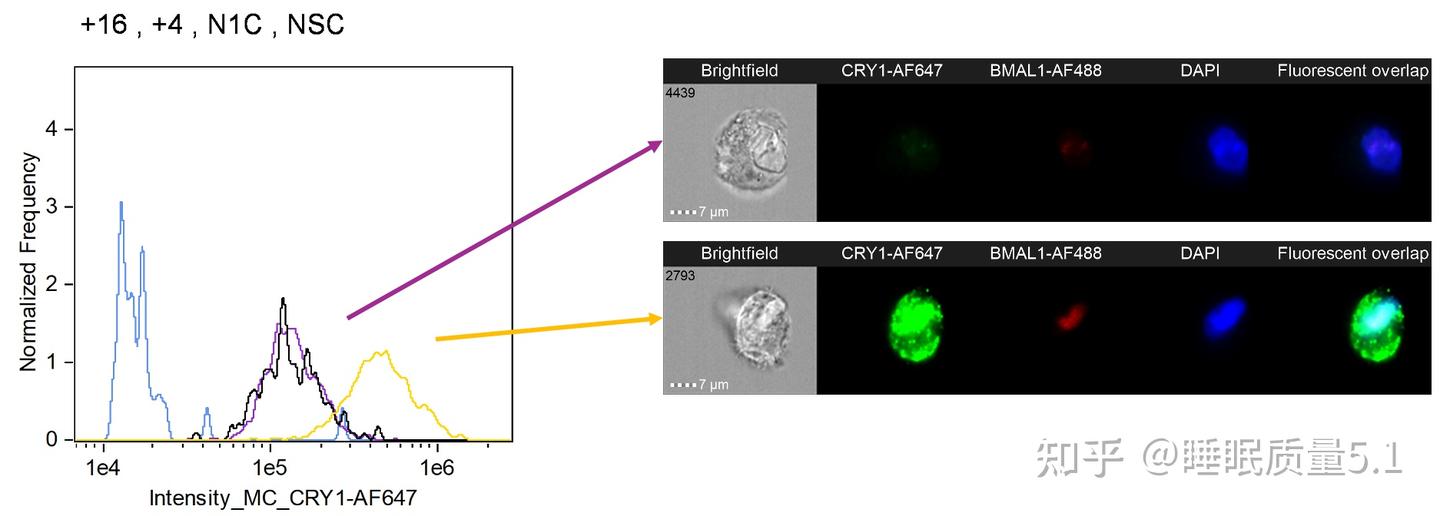 5.2.2 FACS & FC 流式 - 知乎