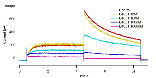 膜片钳服务/离子通道/hERG筛选 - 知乎
