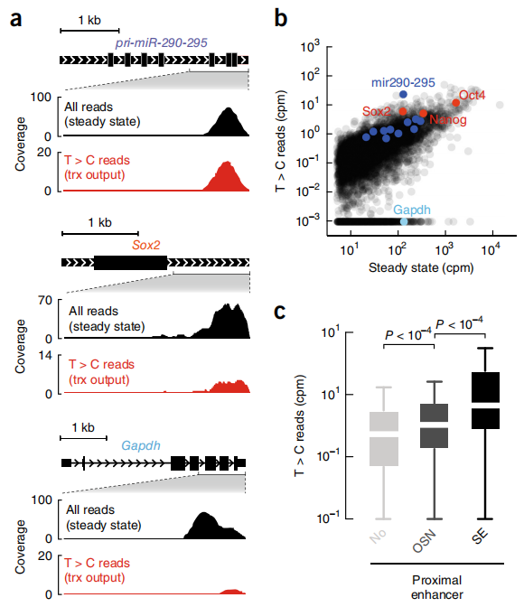 SLAM-seq测序 - 知乎