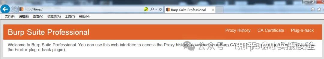 Burp Suite 实战指南 2024版最新修订（第一部分） - 知乎