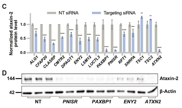 小布解读｜看大佬如何利用CRISPR筛选研究神经退行性疾病 - 知乎
