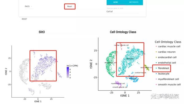太实用了！Nature级别单细胞数据库给你的SCI加个分！我被惊艳到了！ - 知乎
