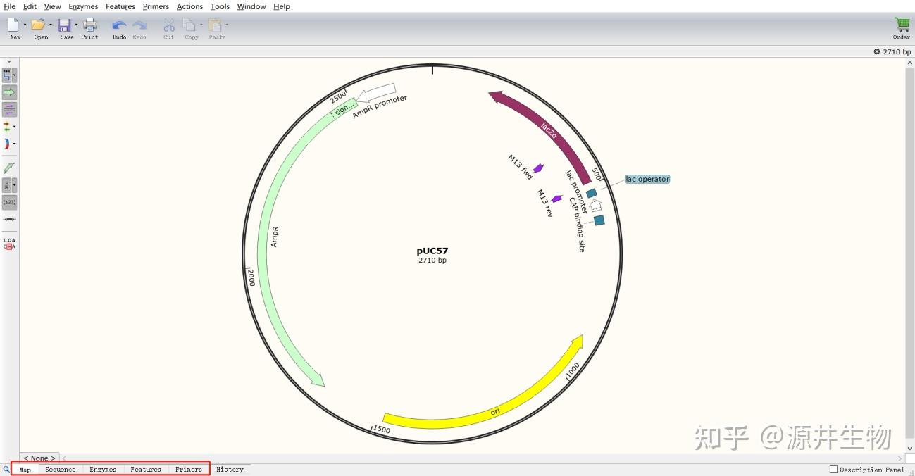 SnapGene 使用教程 - 知乎