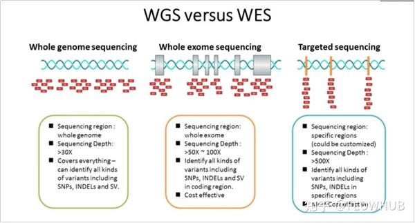 全基因组测序分析 - 知乎