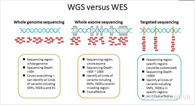 全基因组测序分析 - 知乎