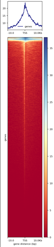 ATAC-seq-TSS富集图-deeptools-学习笔记 - 知乎