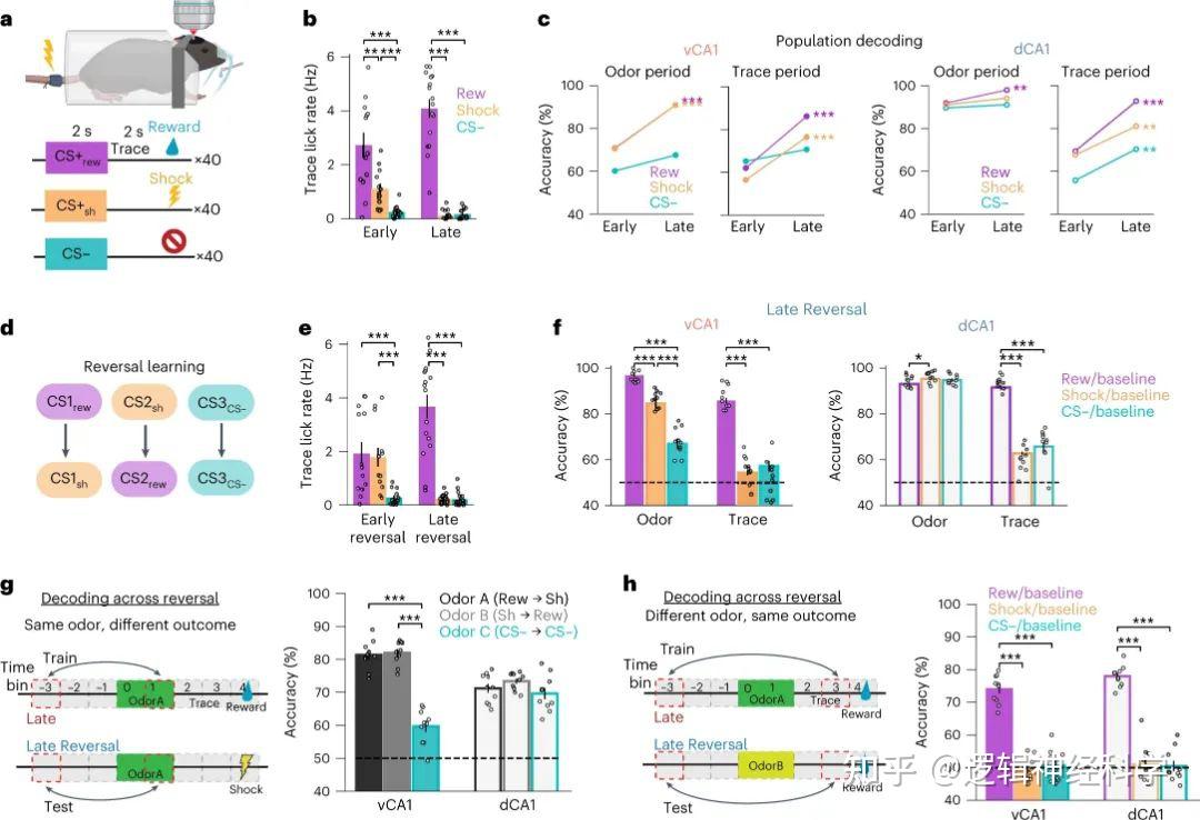 Nat Neurosci︱加州大学旧金山分校团队：海马背侧和腹侧关联学习的神经动力学新发现 - 知乎