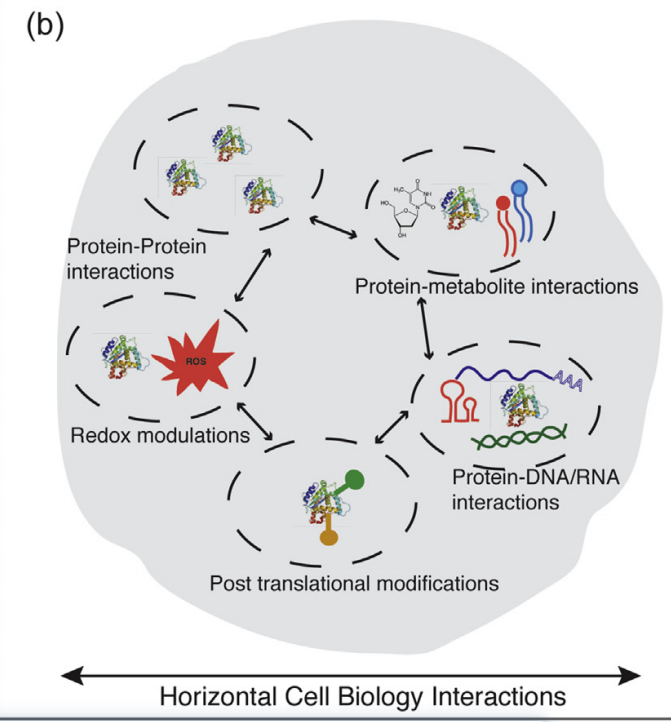 技术| Cellular Thermal Shift Assay（CETSA） - 知乎