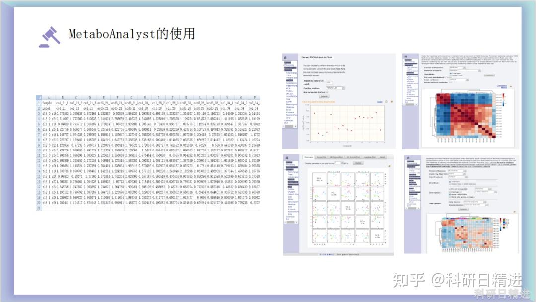 用metaboanalyst进行代谢组学数据分析求助? - 知乎