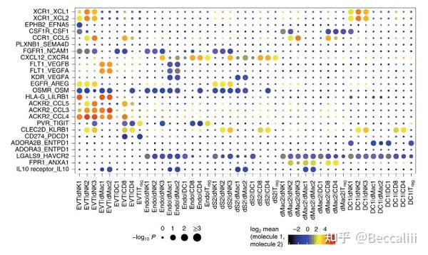 CellPhoneDB 细胞间通讯分析 - 知乎