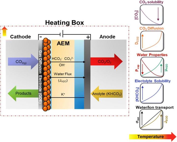 EES Catalysis: 关于高温下零间隙电解槽中二氧化碳电解的见解！ - 知乎