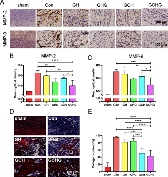 《Biomaterials》损伤响应智能水凝胶恢复脊髓生物物理微环境以增强组织修复 - 知乎