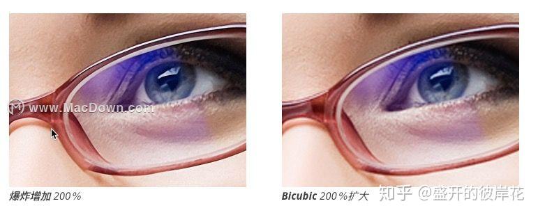 Alien Skin Blow Up 3 for Mac 3.1.4.296 - 知乎