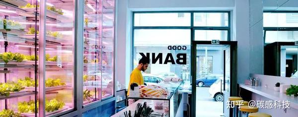 Infarm 的成功之路与中国垂直农业的发展方向 - 知乎