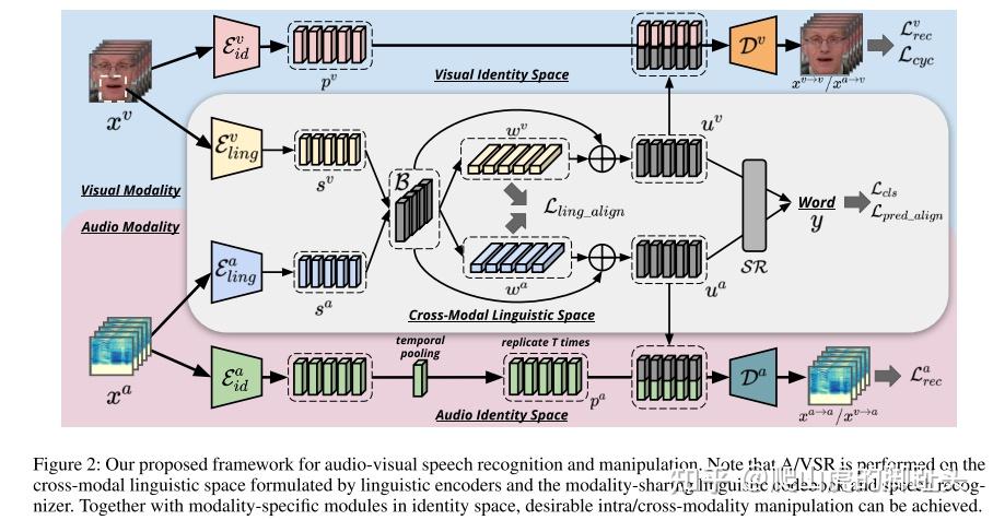 Cross-Modal Mutual Learning for Audio-Visual Speech Recognition and ...