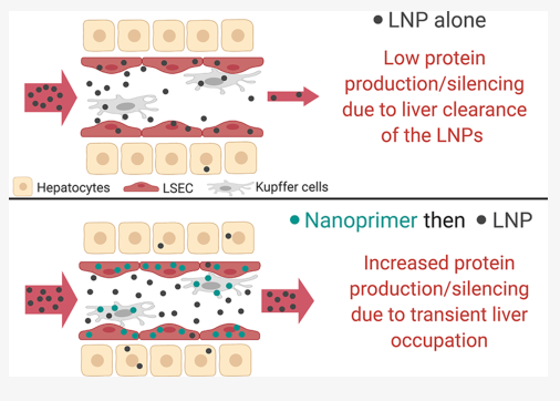 脂质纳米颗粒(LNPs)肝外递送RNA药物的三大策略 - 知乎