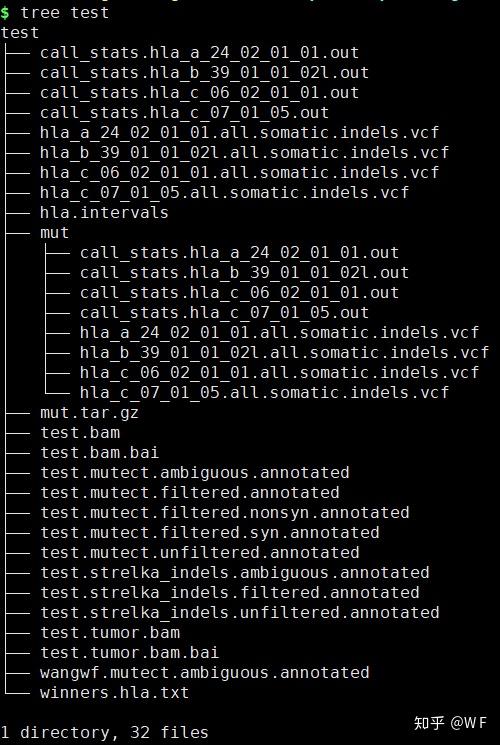 Polysolver预测HLA分型原理及测试 - 知乎
