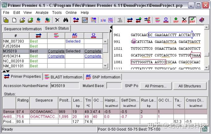Primer Premier-PCR引物设计软件怎么使用-睿驰科技代理商 - 知乎