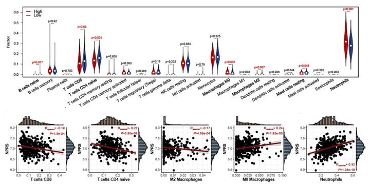 【最新套路视频】IF6+，循环 NAD+ 代谢衍生基因揭示肌萎缩侧索硬化症的预后和外周免疫浸润 - 知乎