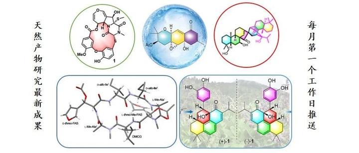 天然产物研究最新成果-202312 - 知乎