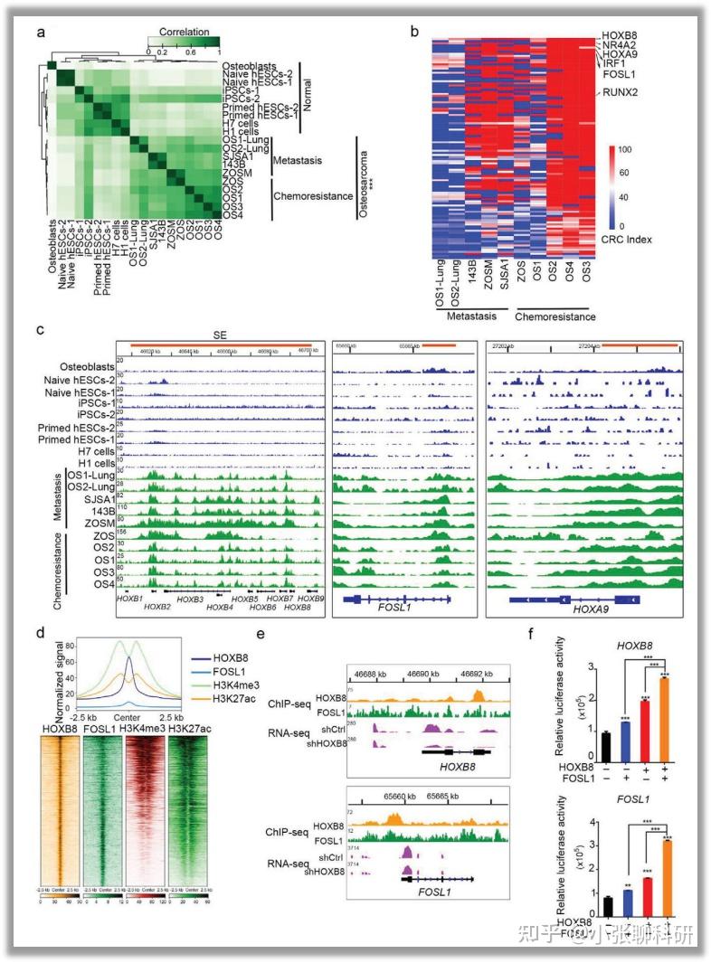 文献详解|提到相分离就头大？来看看这篇文章怎么说！ - 知乎