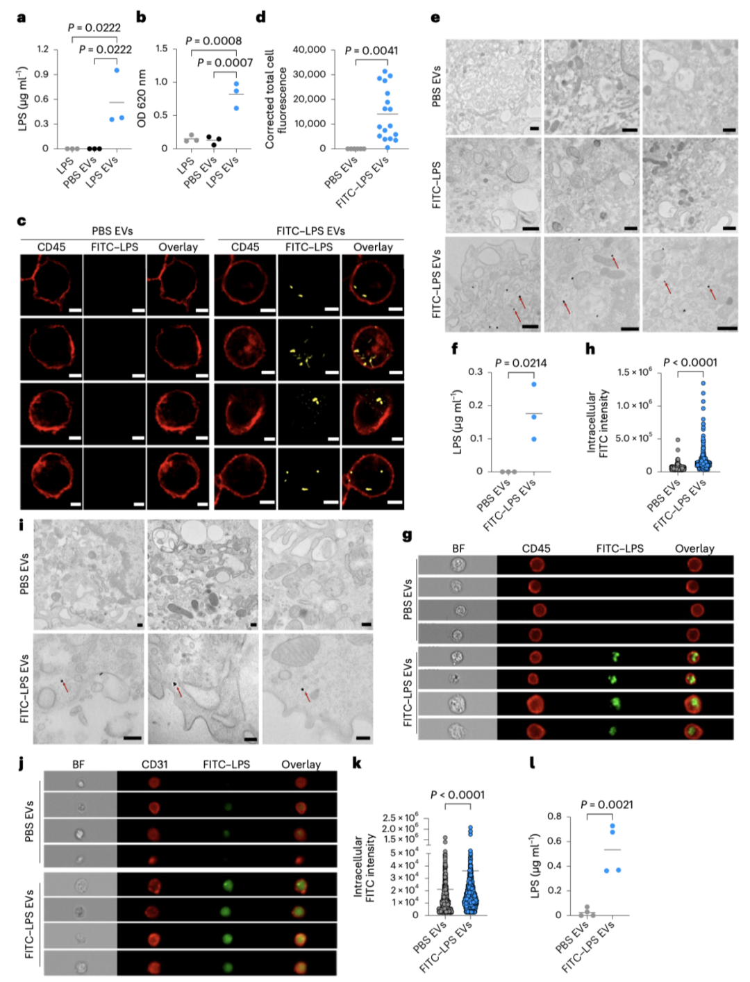 Nature Cell Biology丨循环外泌体可以携带 LPS 诱导焦亡 - 知乎