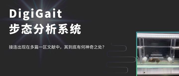 为何DigiGait步态分析系统，能接连助力发表顶级期刊文献？ - 知乎