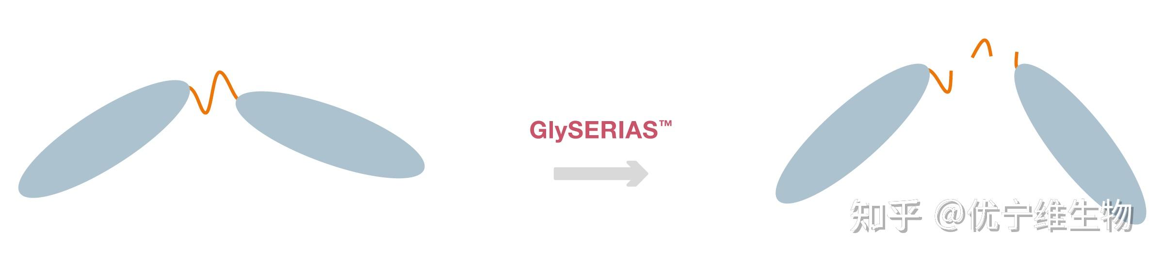 抗体结构分析太复杂？FabRICATOR帮你实现定点酶切! - 知乎