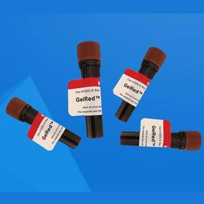 Gelred核酸凝胶染料的使用方法 - 知乎