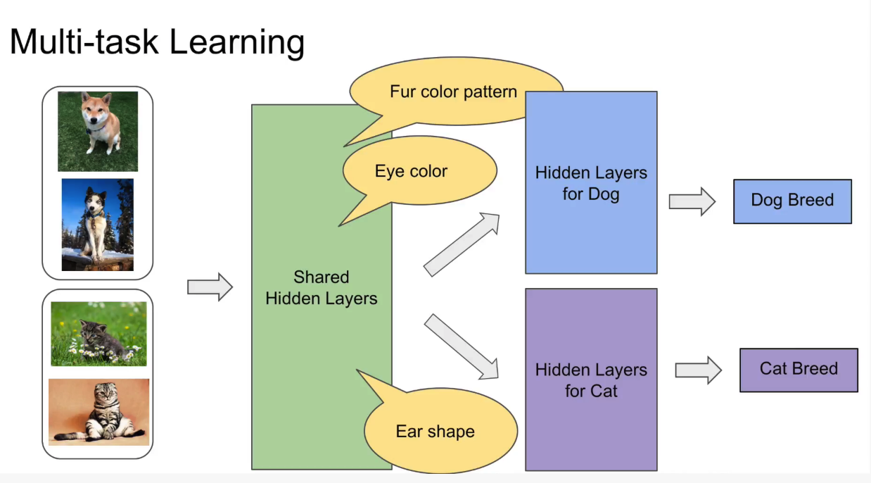 Google 多任务学习框架 MMoE - 知乎